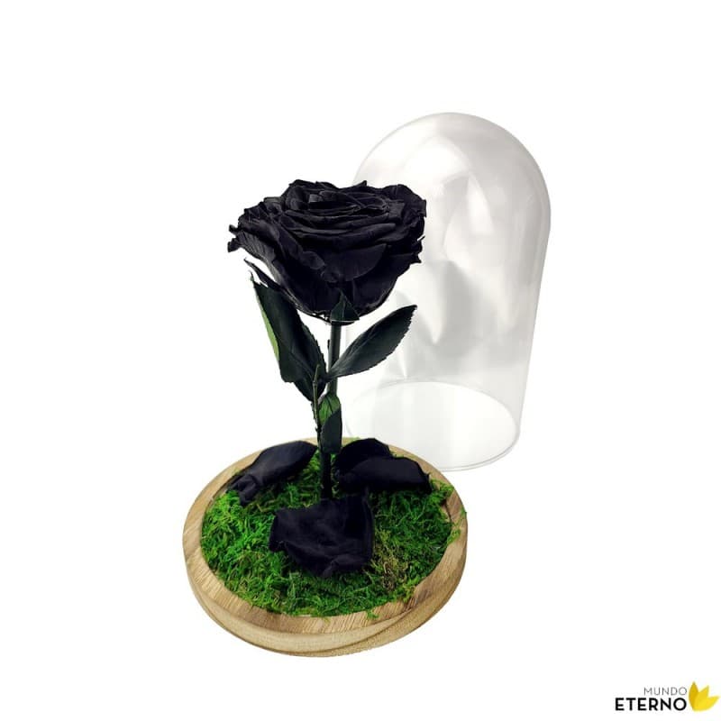 Rosa Preservada Negra 22x12 cm | Regalo Original | Mundo Eterno
