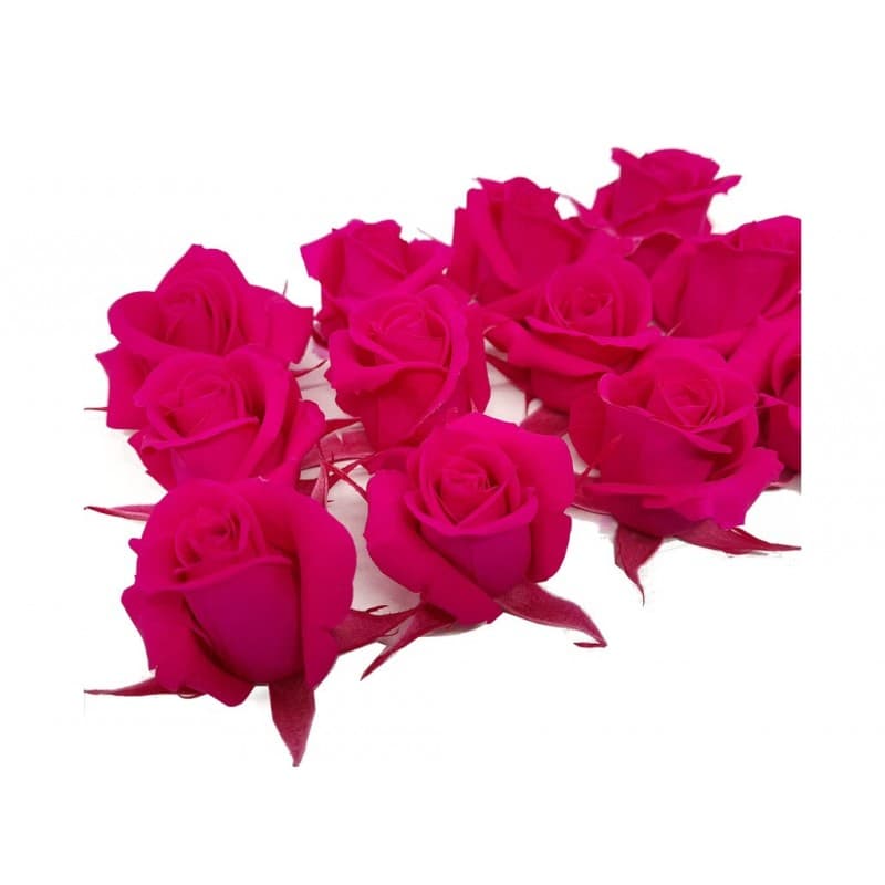 ROSAS FUCSIA 12UDS DE 4CM